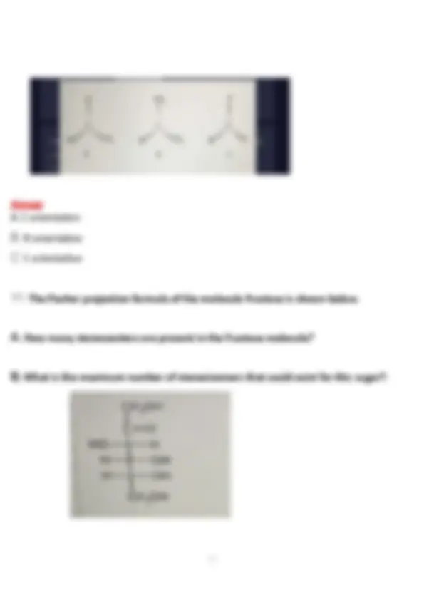 CHEM 219 Module 3 Exam (2025) – Principles of Organic Chemistry ...