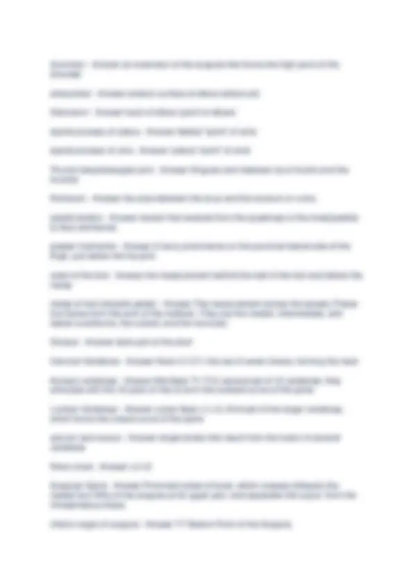 ABC Certified Orthotic Fitter Exam(Study Review) Questions and Answers ...