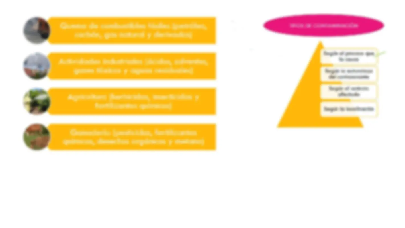 Documento de Biologia | Schemes and Mind Maps Biology | Docsity