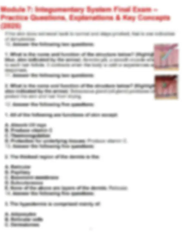 Module 7 Integumentary System Final Exam – Practice Questions ...