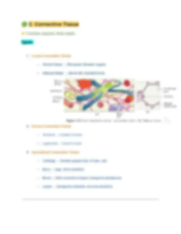 Cbse class 11 bio notes chapter structural Organisation in animals ...