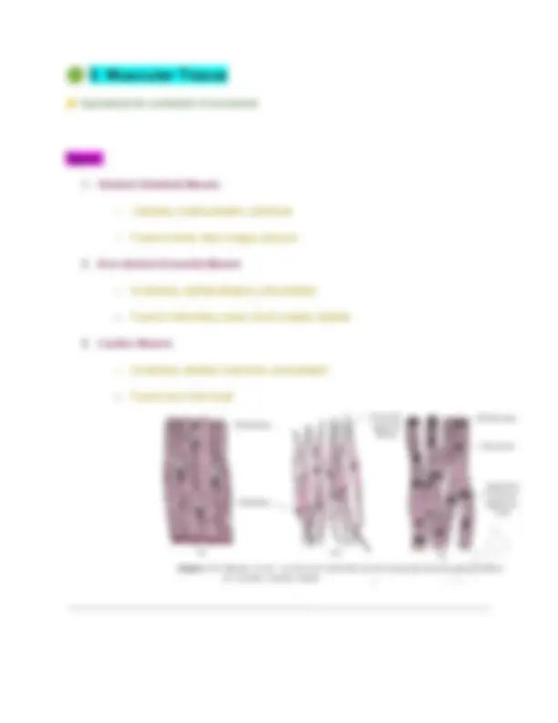 Cbse class 11 bio notes chapter structural Organisation in animals ...