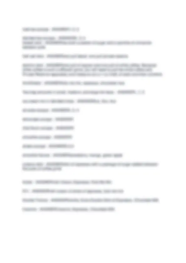 Dutch Bros Flow Test 2025: Questions and Answers | Exams Business ...