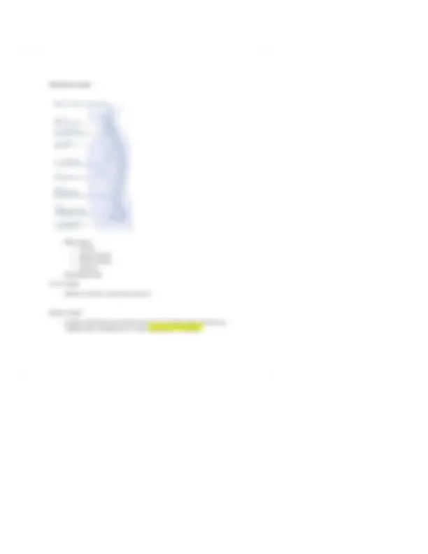 NURS 480 FINAL EXAM 2025-2026 Study Topics List • Spinal Cord Injuries ...