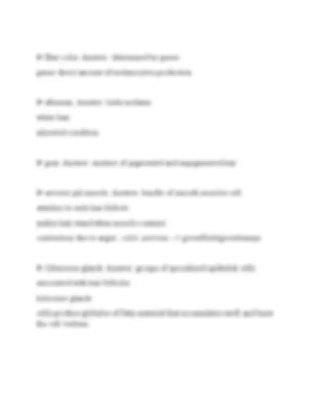HOLES HUMAN ANATOMY AND PHYSIOLOGY 16TH EDITION TEST BANK COMPLETE ...