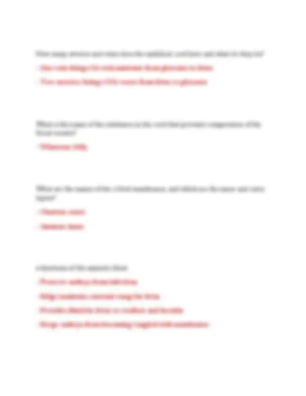 BCIT NSPN 7100 PERINATAL NURSING THEORY 1 - FINAL EXAM|130Qs&As|GRADED ...