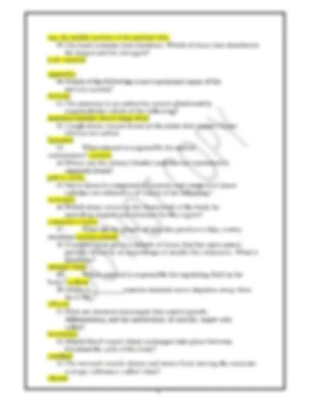 HESI A2 Anatomy & Physiology 2025 – Newest Updated Study Guide | A+ ...