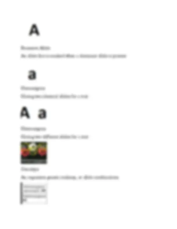 Genetics Test: Key Terms and Definitions for Freshman Biology | Exams ...