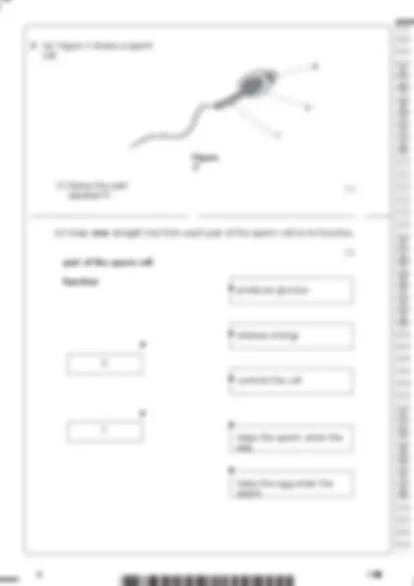 2025 Pearson Edexcel GCSE In Biology (1BI0) Paper 1F (Verified Question ...