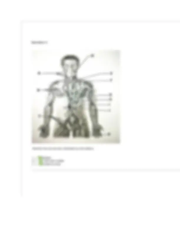 BIOL252 Human Anatomy & Physiology II w/Lab 2025 | Module 4 Exam Review ...