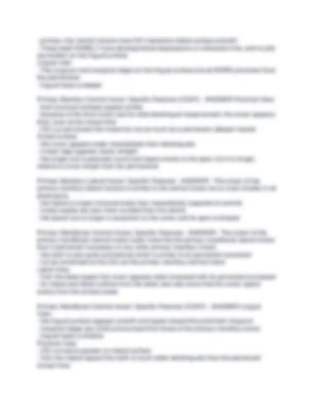 Primary Teeth Anatomy: Comprehensive Q&A for Dental Students | Exams ...