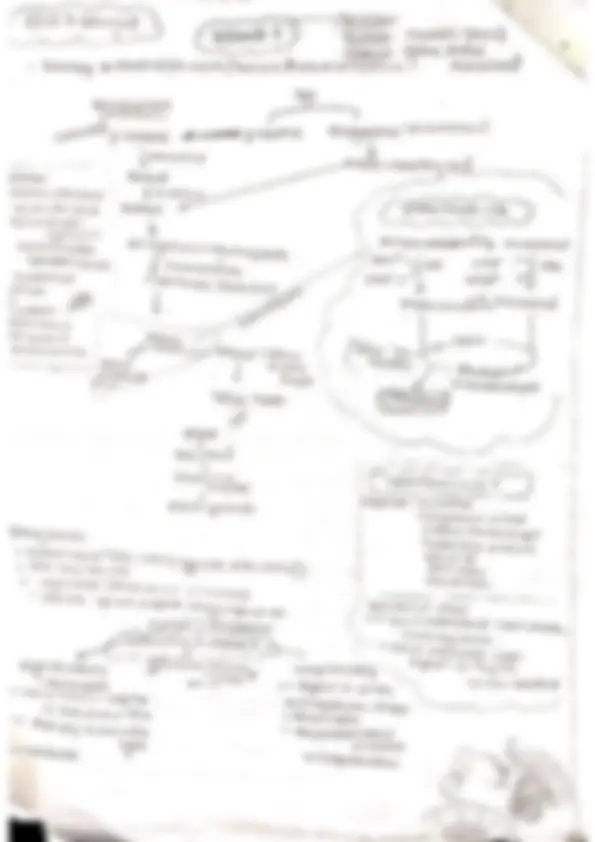 Biochemistry 1st BDS Cheat Sheet | Cheat Sheet Biochemistry | Docsity