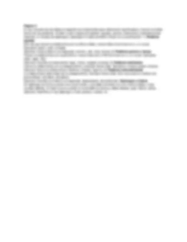 El uso correcto de las tildes en español | Exercises Spanish | Docsity