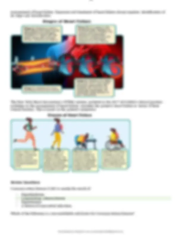 NR 507 Weeks 1–4 Notes Bundle Advanced Pathophysiology | Chamberlain ...