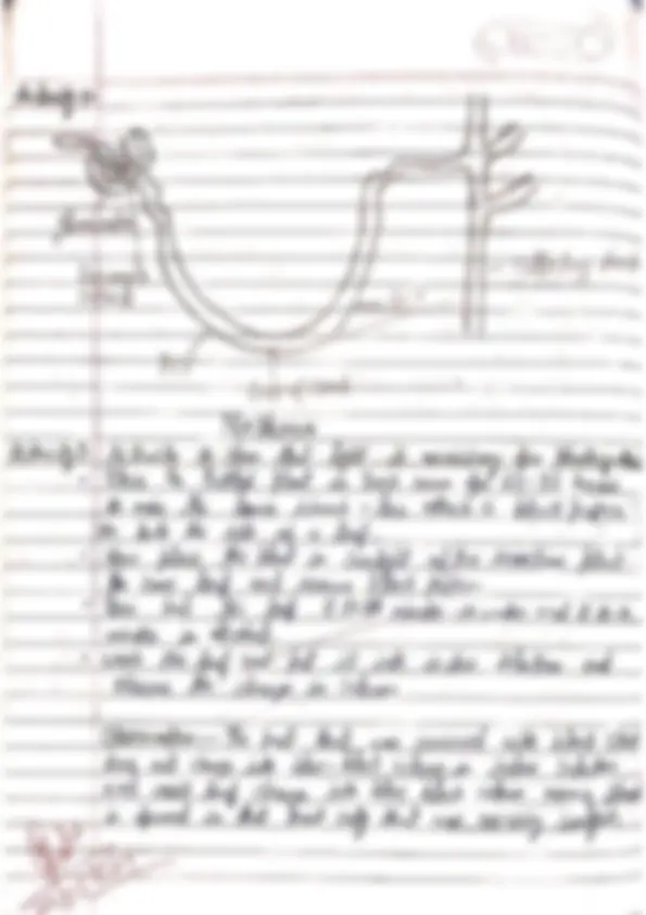 Class 10 Biology Chapter 1 – Life Processes | Notes, Diagrams ...