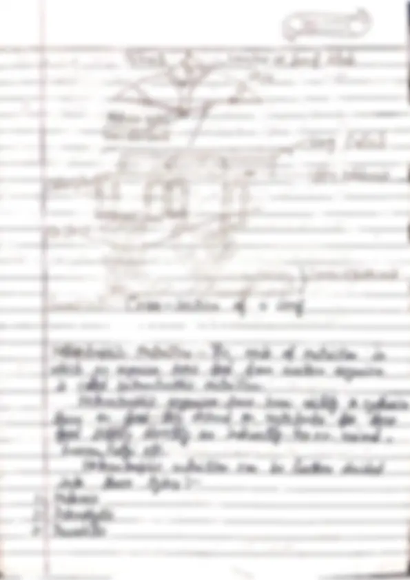 Class 10 Biology Chapter 1 – Life Processes | Notes, Diagrams ...