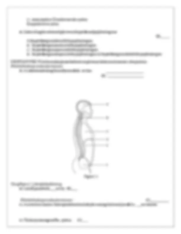 TEST BANK Essentials of Human Anatomy & Physiology 13th Edition Marieb ...