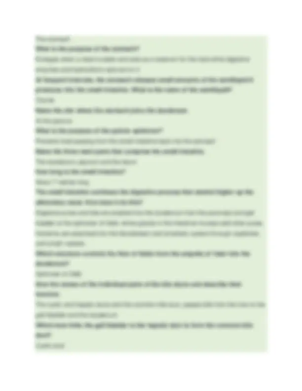 NCCQ anatomy and physiology revision- the digestive system 2026/2027 ...