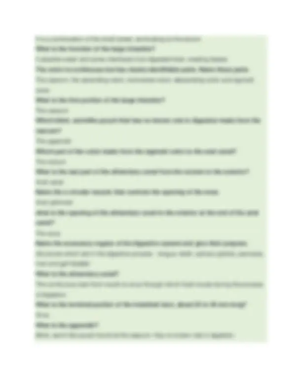 NCCQ anatomy and physiology revision- the digestive system 2026/2027 ...