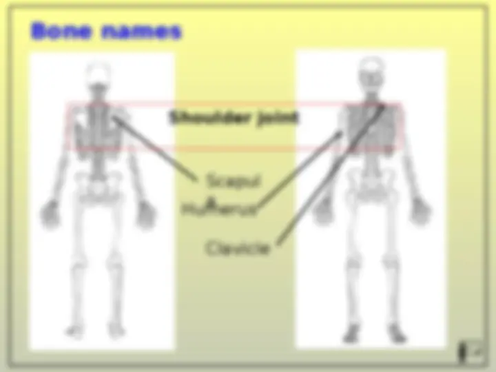 Musco-skeletal system | Slides Physical education | Docsity