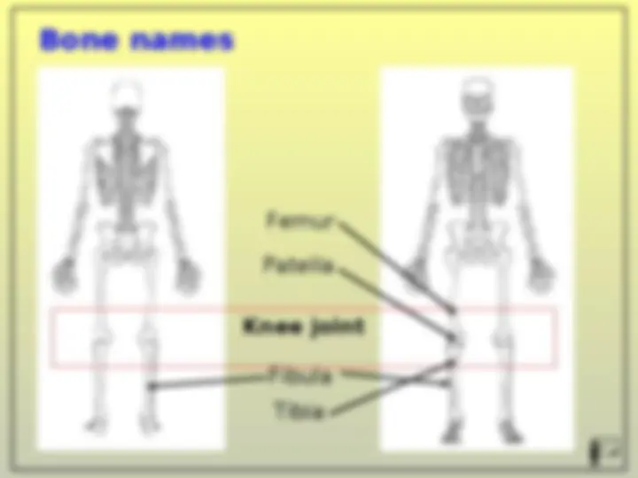 Musco-skeletal system | Slides Physical education | Docsity
