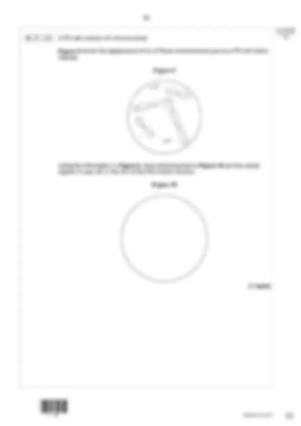 Actual 2025 AQA A-level BIOLOGY 7402/1 Paper 1 Merged Question Paper ...