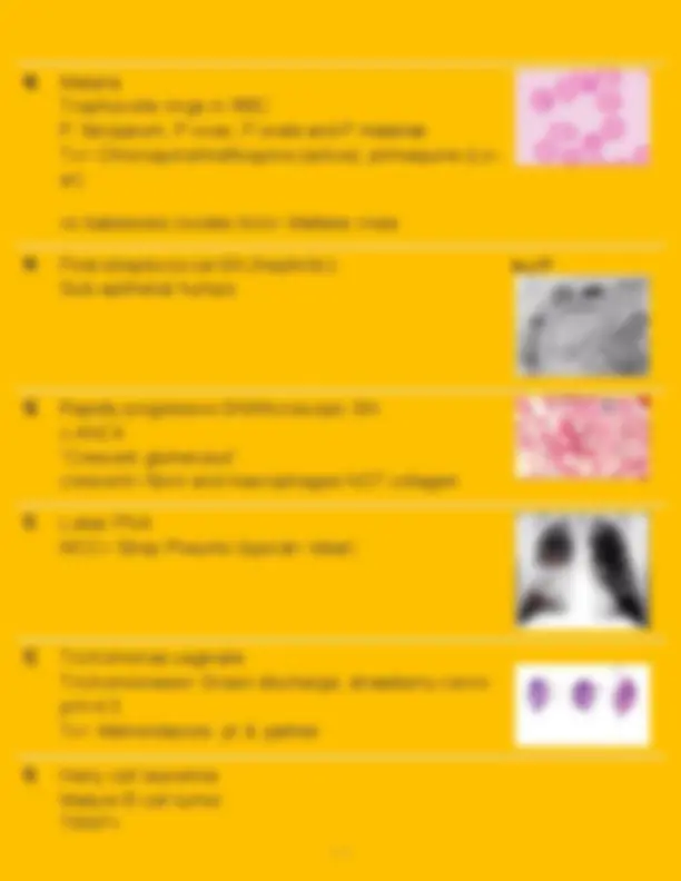 USMLE Step 1 High-Yield Images Prep: 100% Correct Visual Diagnoses ...