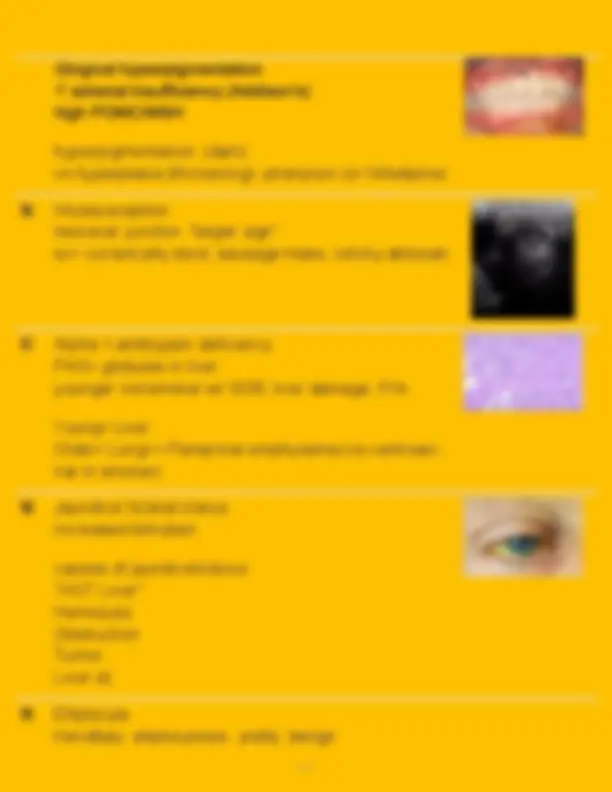 USMLE Step 1 High-Yield Images Prep: 100% Correct Visual Diagnoses ...