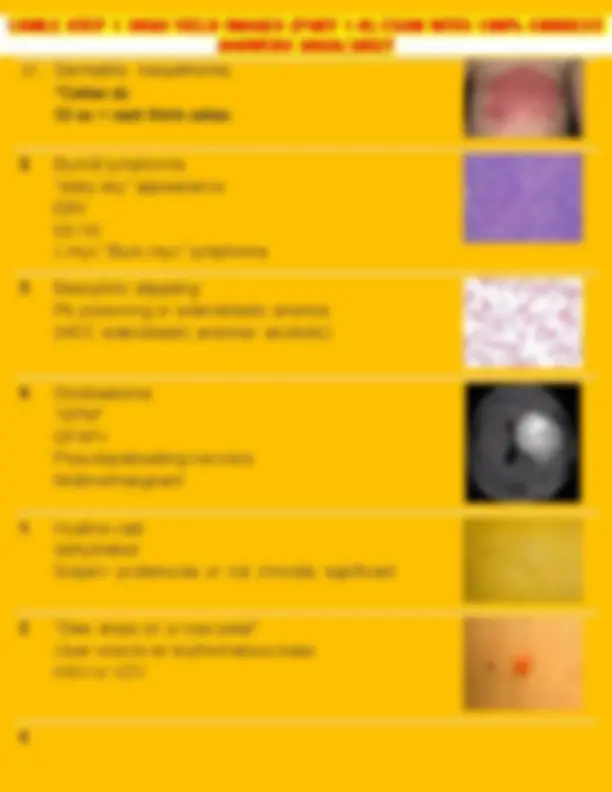 USMLE Step 1 High-Yield Images Prep: 100% Correct Visual Diagnoses ...