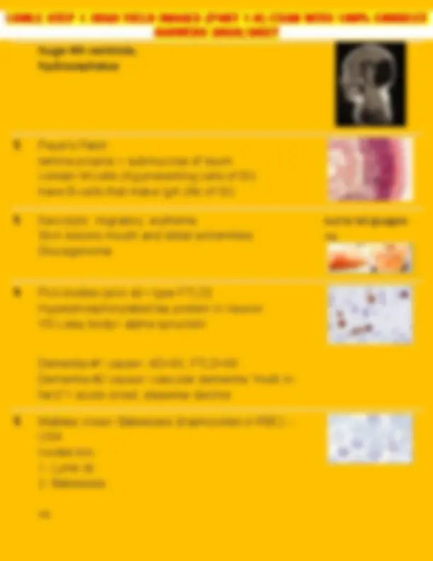 USMLE Step 1 High-Yield Images Prep: 100% Correct Visual Diagnoses ...