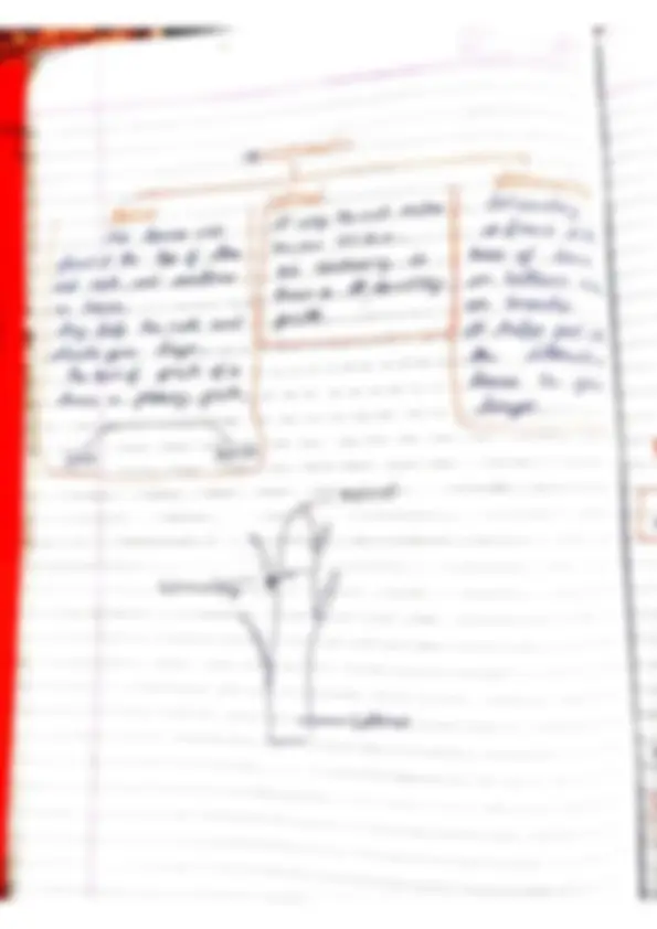 Tjese notes are about the tissue ch of class 9 . | Study notes Biology ...