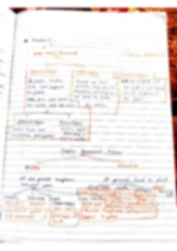 Tjese notes are about the tissue ch of class 9 . | Study notes Biology ...