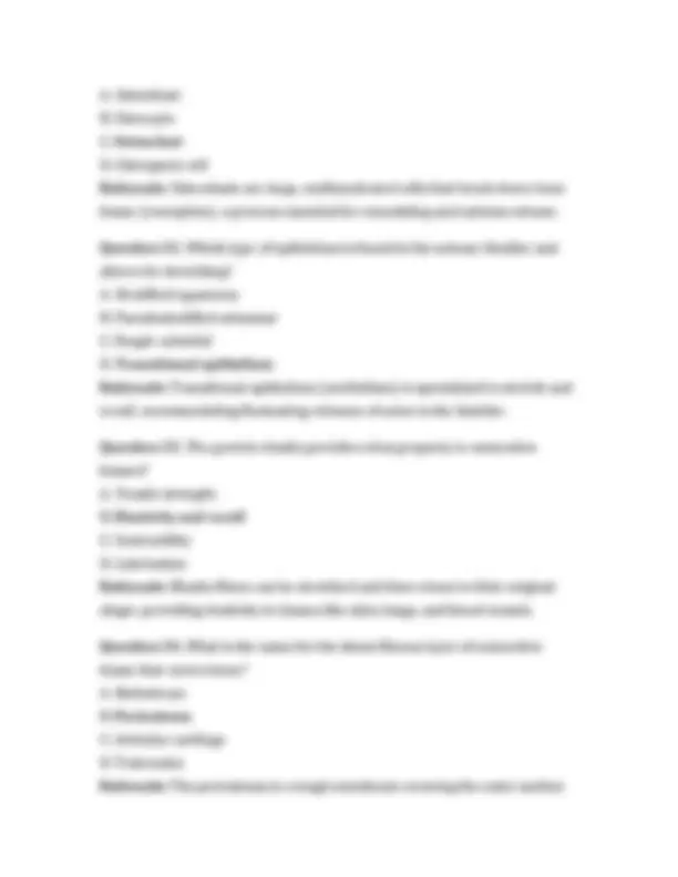 BIOL251: Human Anatomy & Physiology I w/Lab Module 4 Exam Review | 100 ...