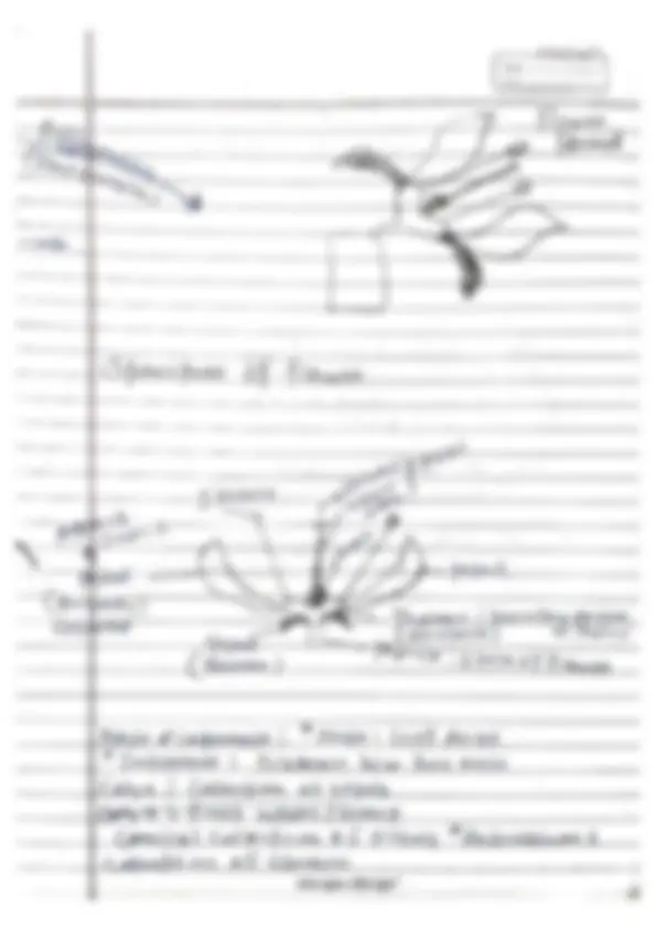 Sexual Reproduction In Flowering Plant detailed notes for class 12th ...