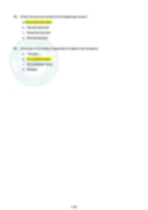 ATI TEAS 7 Practice Questions and Answers 2026 – Complete Study Guide ...
