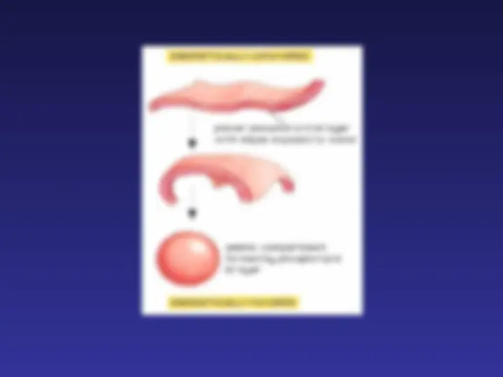 Estudio de la Membrana Plasmática: Predicción Overton al Modelo Mosaico ...