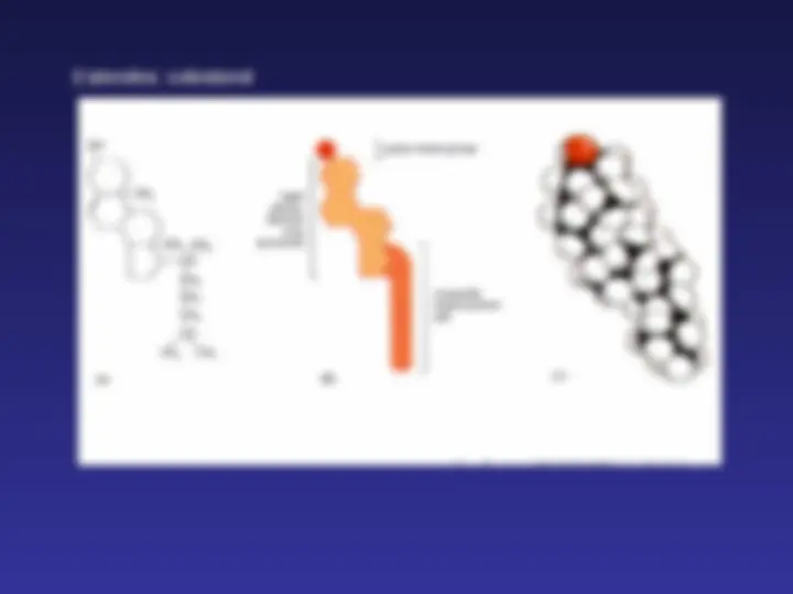 Estudio de la Membrana Plasmática: Predicción Overton al Modelo Mosaico ...