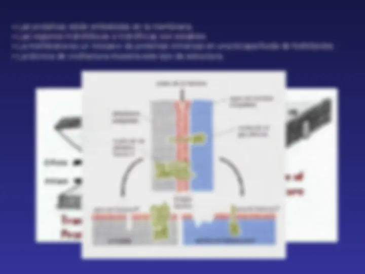 Estudio de la Membrana Plasmática: Predicción Overton al Modelo Mosaico ...