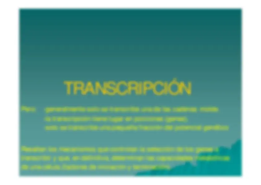 Transcripción de la Información Genética: Mecanismos y Regulación ...