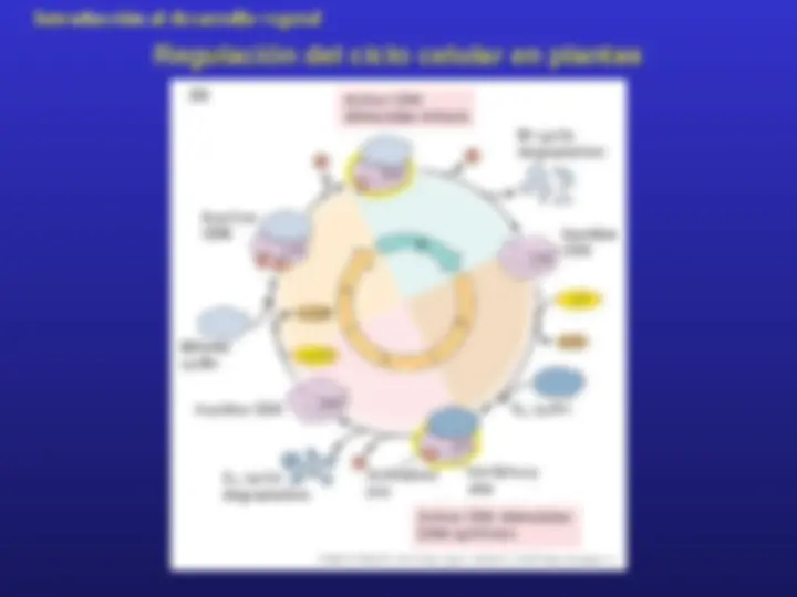 Introducción al Desarrollo Vegetal: Ciclo Vital, Embriogénesis y ...