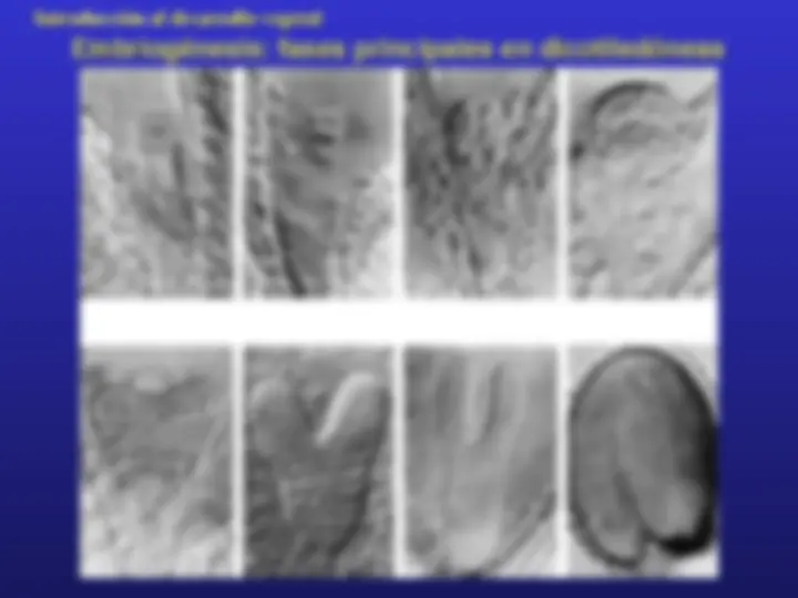 Introducción al Desarrollo Vegetal: Ciclo Vital, Embriogénesis y ...