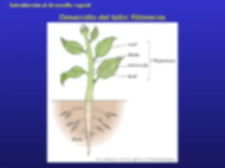 Introducción al Desarrollo Vegetal: Ciclo Vital, Embriogénesis y ...
