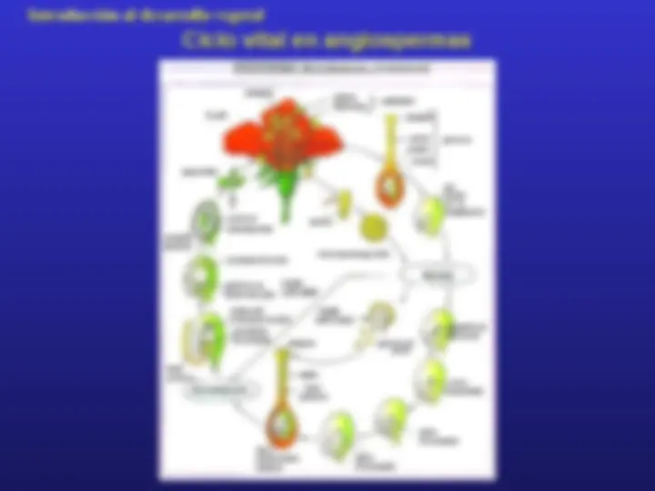 Introducción al Desarrollo Vegetal: Ciclo Vital, Embriogénesis y ...