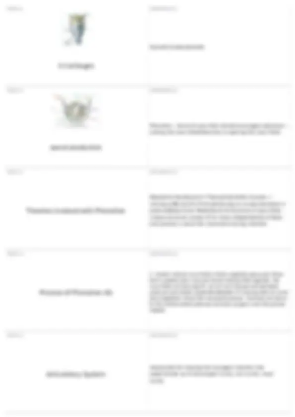 Quiz #2 | SLP 200 - Introduction to Communication Disorders | Quizzes Communication | Docsity