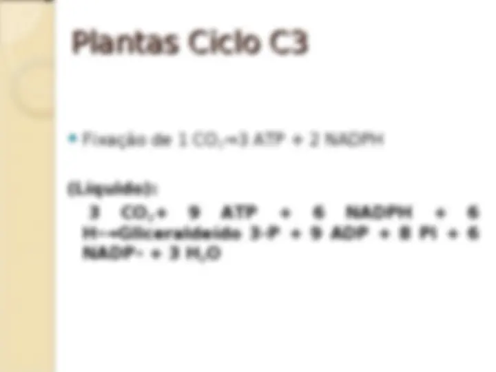 Plantas C3, C4, CAM - FASE BIOQUIMICA FOTOSSINTESE PANTAS C3 C4 CAM ...
