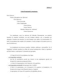 TEMA 27 Orden Piroplasmida piroplasmas Reino Protozoa Phylum ...