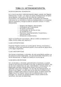 Heterokontophyta, algas eucariotas - Apuntes de Botánica y Agronomía ...