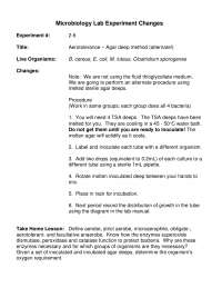 Aerotolerance and Agar Deep Method - Microbiology Lab Experiment | BI ...