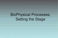 Biophysical Processes: Setting the Stage Fresh Water and Ecosystems ...