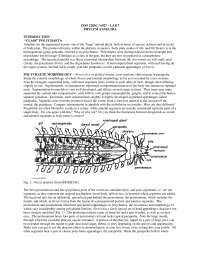 Laboratory 7 - Phylum Annelida | ZOO 2203 - Docsity
